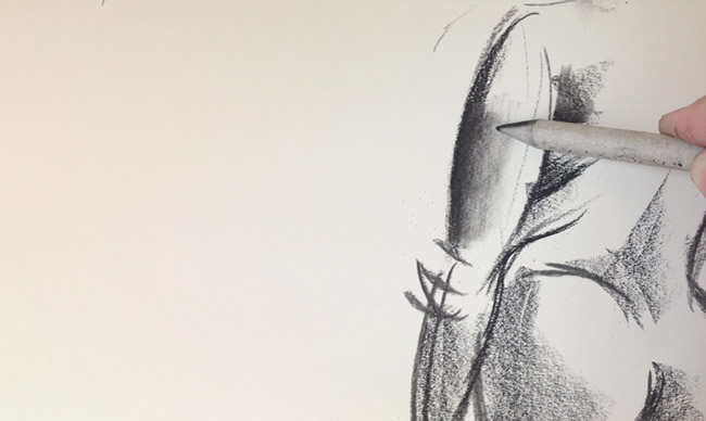 How to Draw With Charcoal: A Tutorial
